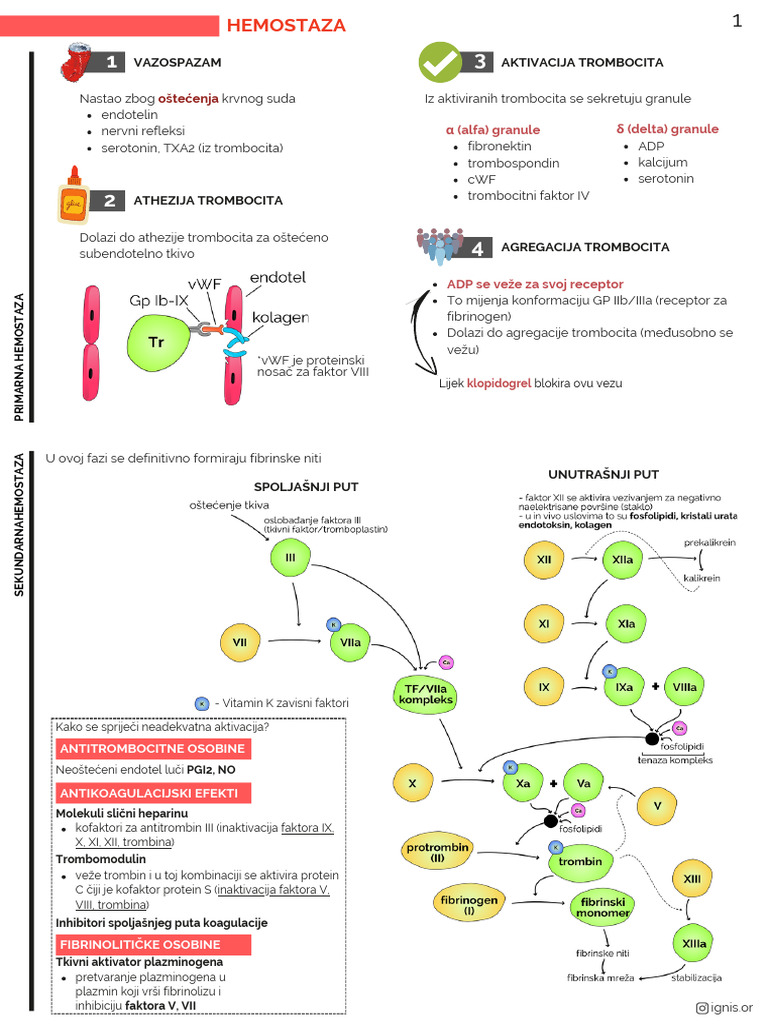 Hemostaza I Embolija | PDF