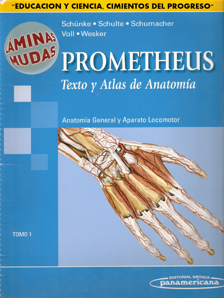 Prometheus texto y atlas anatomy | PDF