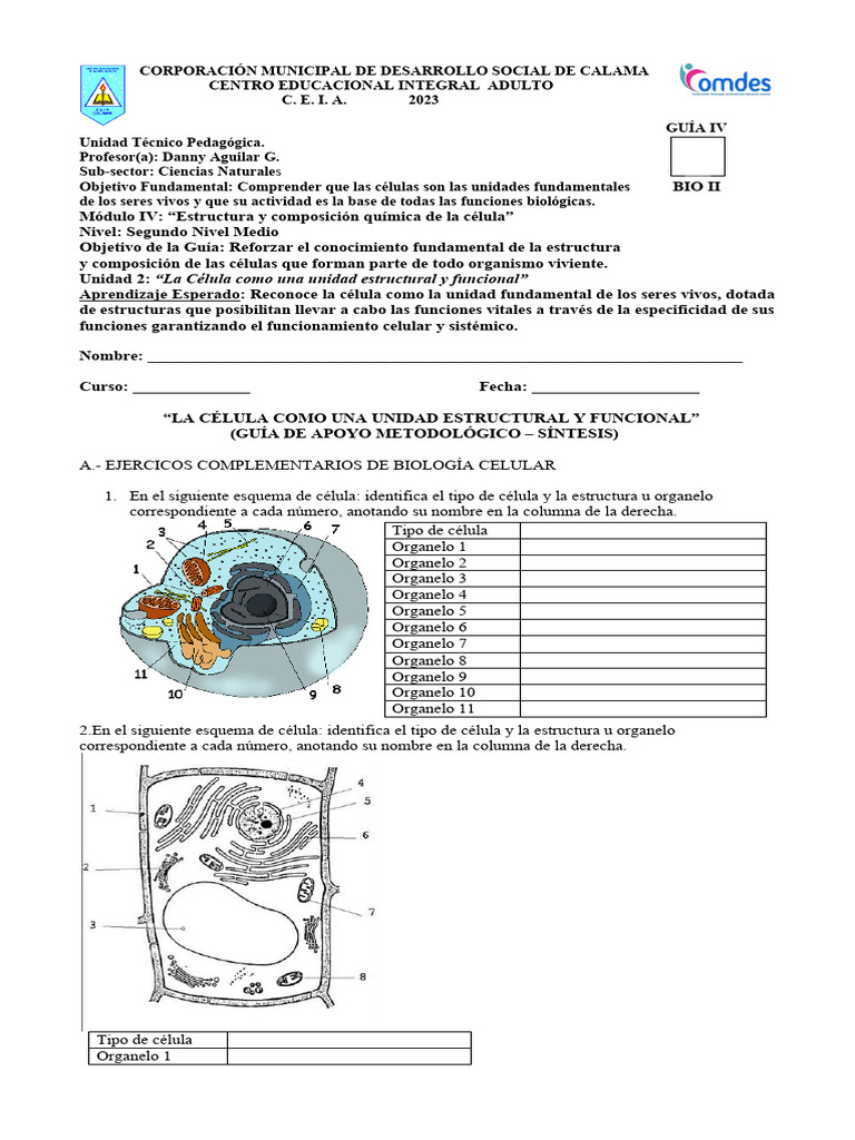 Guía 4 - BIO II | PDF | Biología Celular) | Organismos
