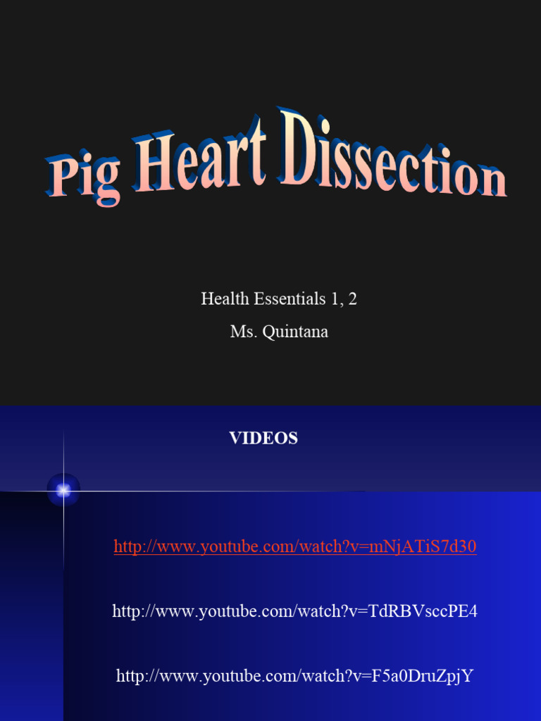 Pig Heart Dissection Pre-Lab | PDF | Heart Valve | Heart