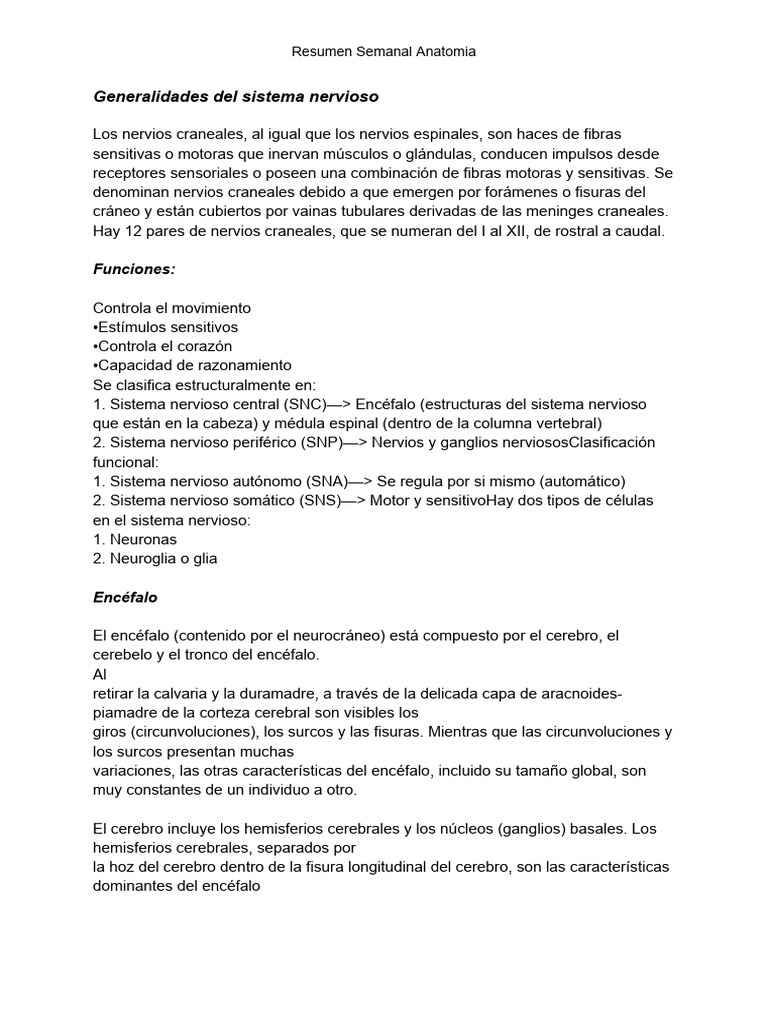 Resumen Lab S8 | PDF