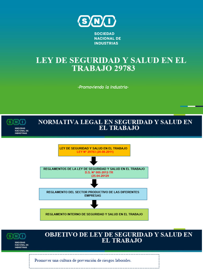 Ley 29783 - Ley de Seguridad y Salud en El Trabajo 1 | PDF | Seguridad y salud ocupacional ...