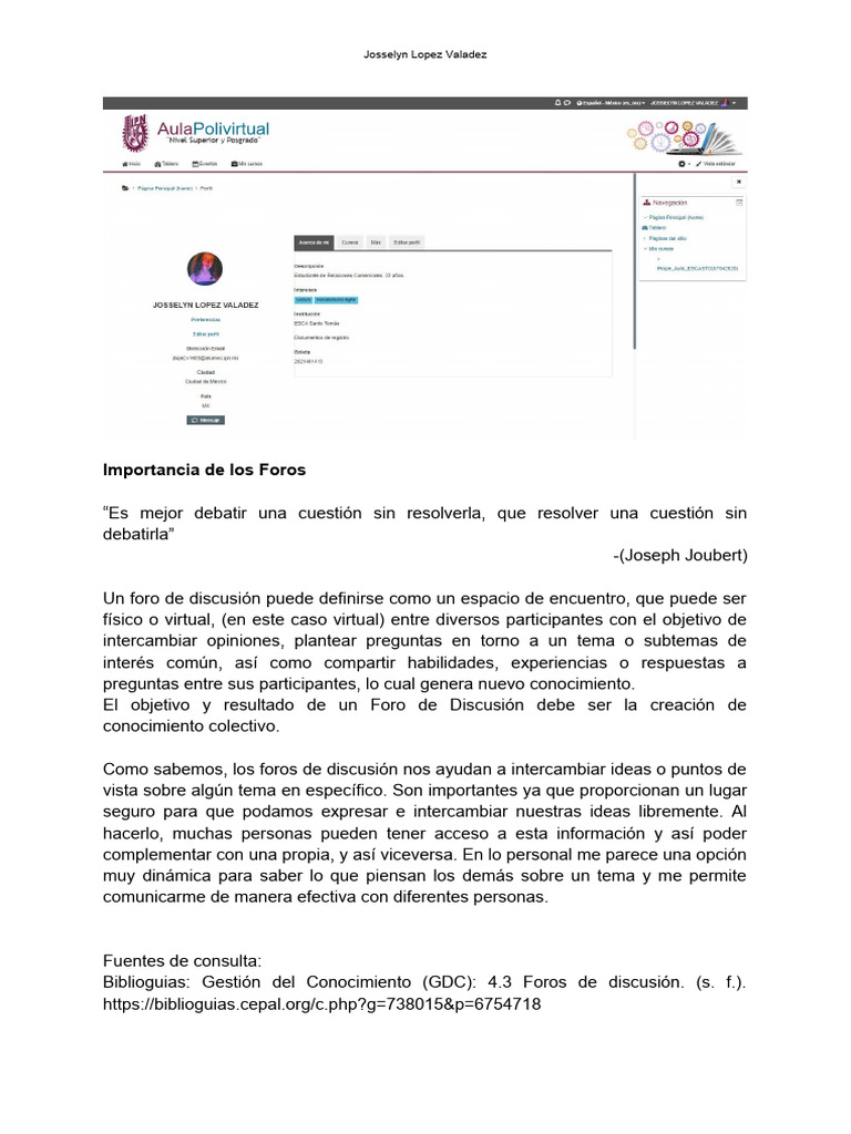 Importancia de Los Foros de Discusion | PDF