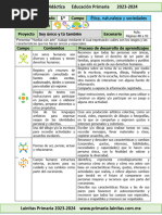 Primer Grado Pda Nem | PDF | Sonido | Comunicación