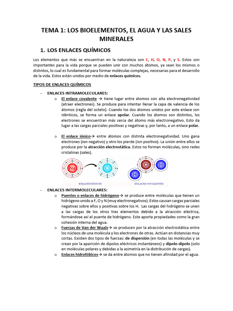 Tema 1 Los Bioelementos, El Agua y Las Sales Minerales | PDF