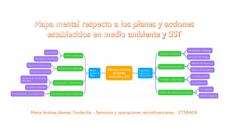 Mapa Mental Respecto A Los Planes y Acciones Establecidos en Medio ...