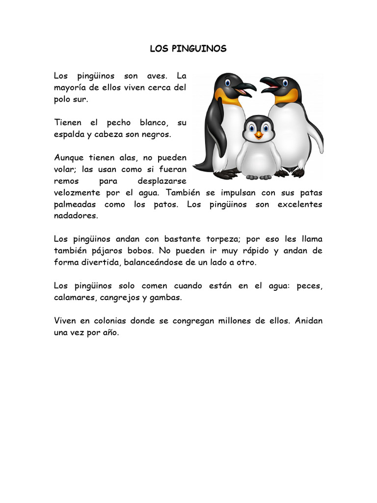El Pinguino | PDF
