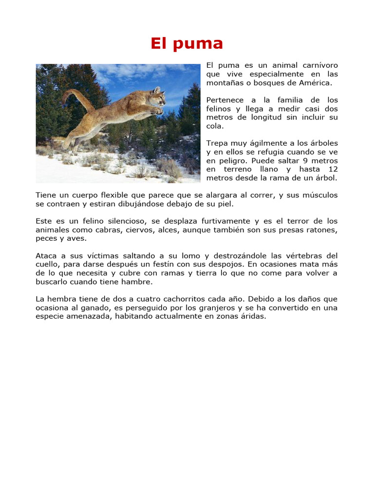 El Puma | PDF | Puma