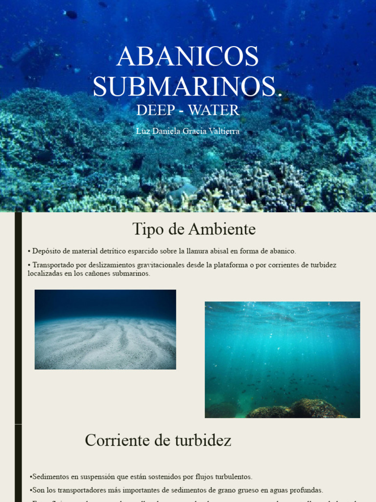 Abanicos Submarinos | PDF