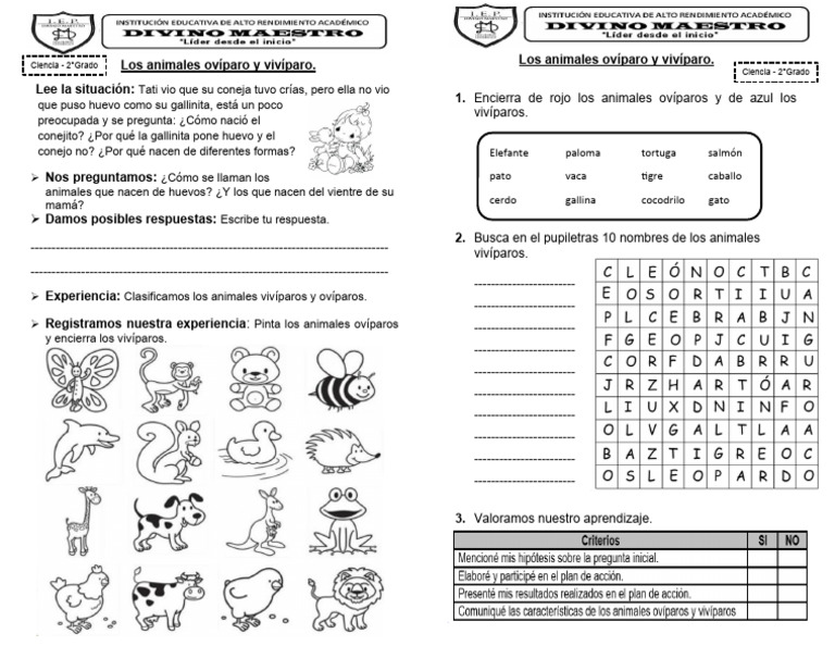 Animales Oviparos y Viviparos - Ficha | PDF | Animales domesticados ...
