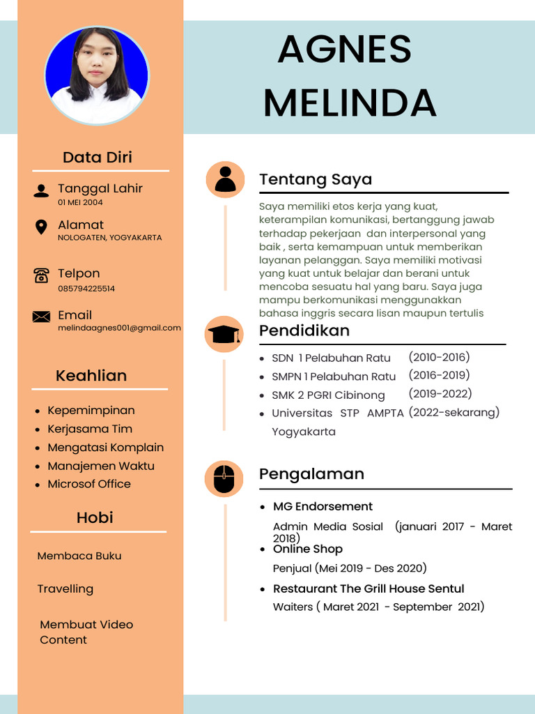 CV Agnes Melinda | PDF