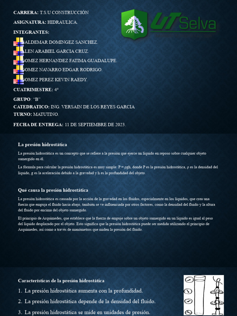 Presion Hidrostatica. Ing. | PDF