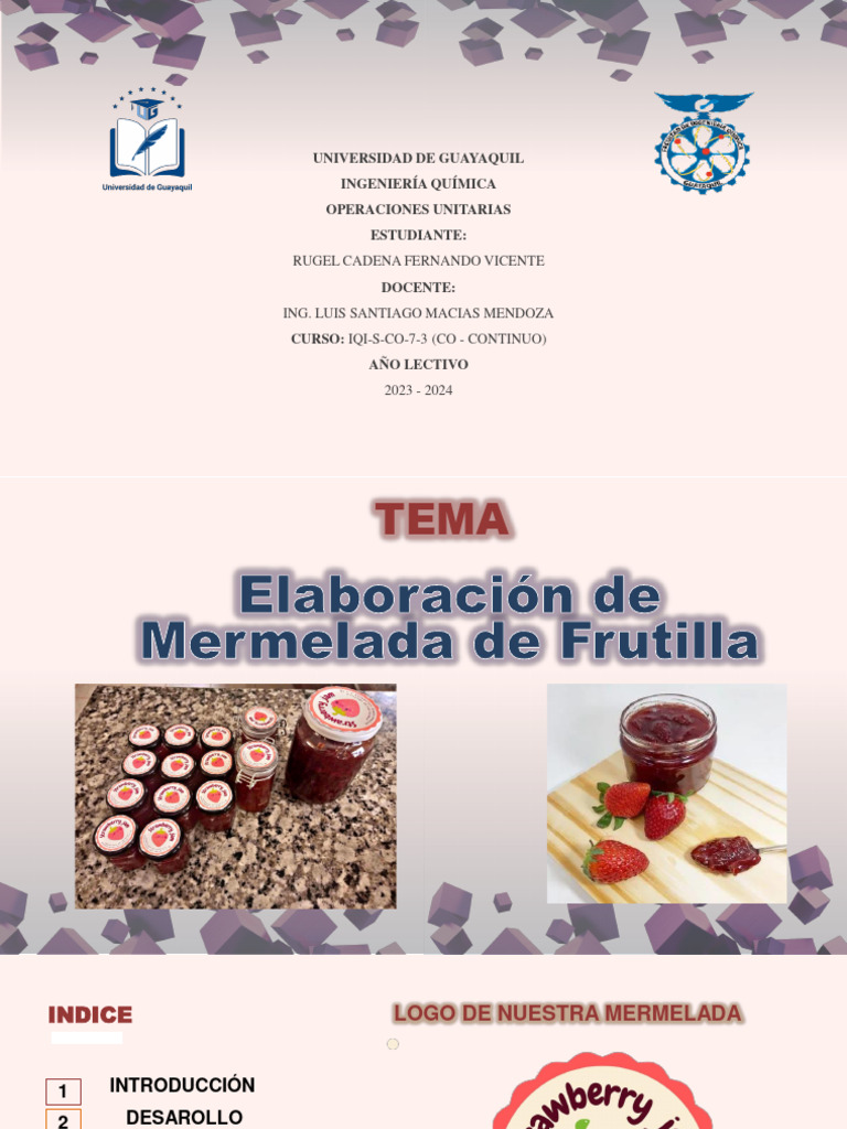 Elaboracion de Mermelada de Frutilla - Operaciones Unitarias I 1 | PDF | Fructosa | Sacarosa