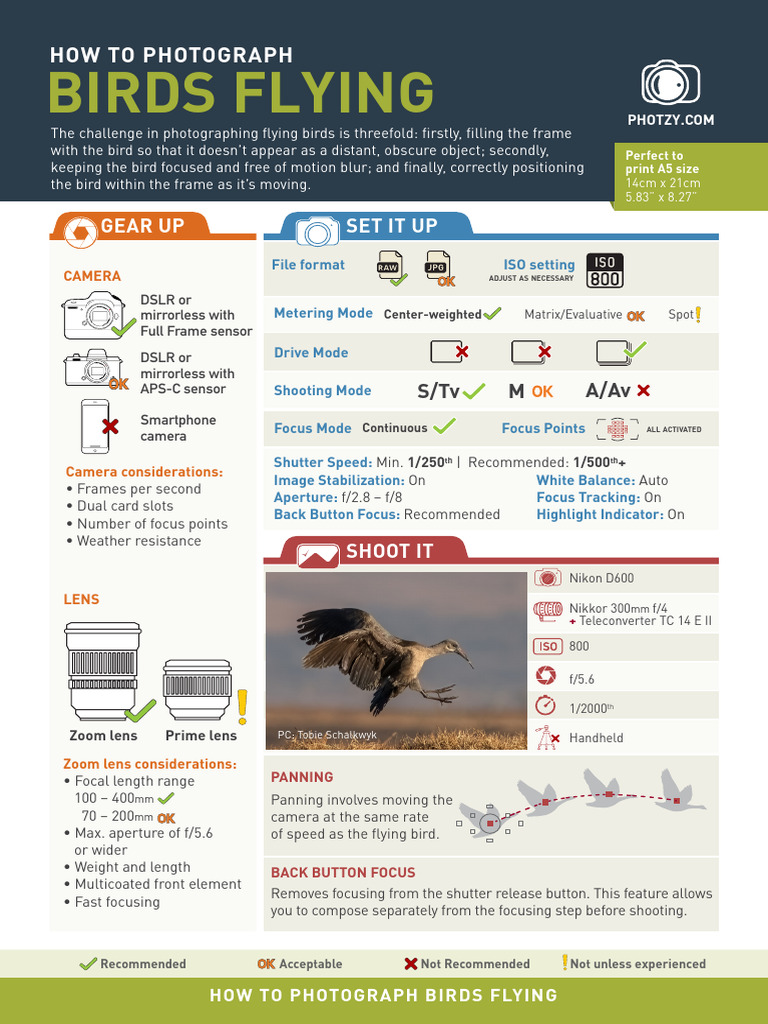 BirdSnapCards How+to+Photograph+Birds+Flying | PDF