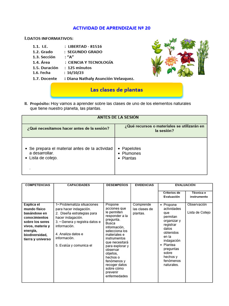 Clasificación de Plantas para Niños | PDF | Evaluación | Plantas