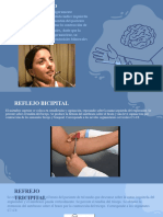 Reflejo Cremasterico | PDF