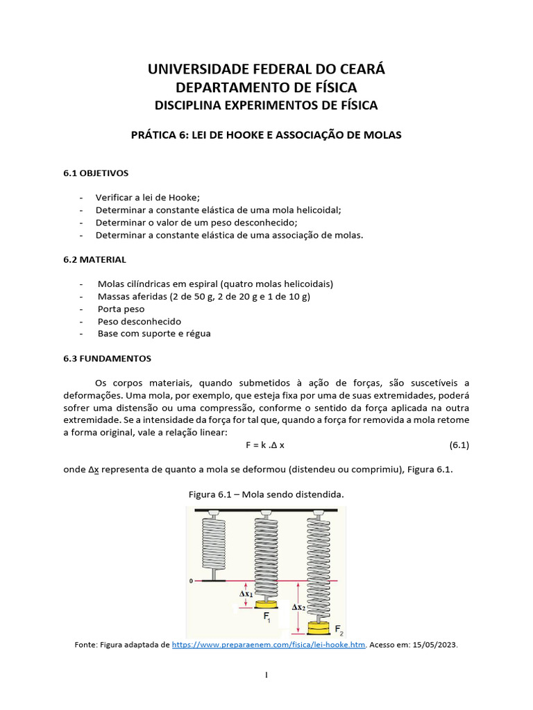 Roteiro 6 - Lei de Hooke 2023-2 | PDF | Engenharia Mecânica | Quantidades físicas