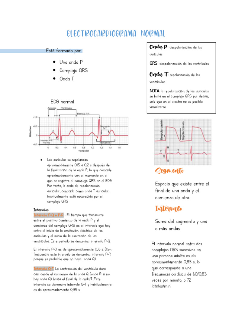 Electrocardiograma Normal y Derivaciones | PDF