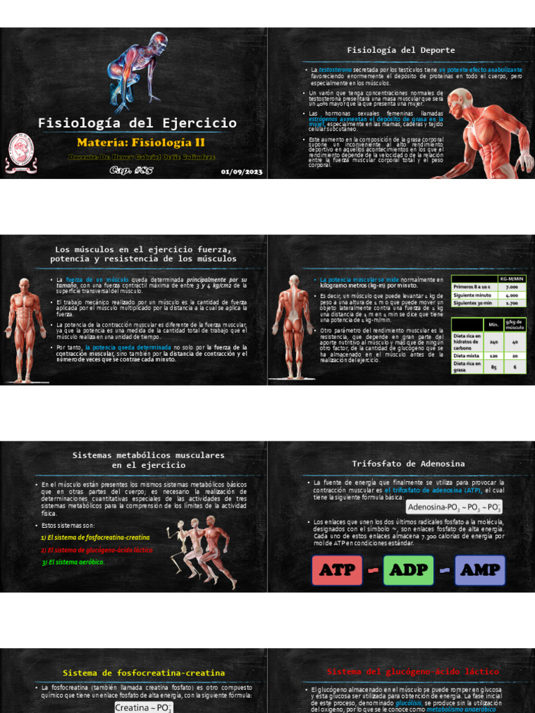 Fisiologia Del Ejercicio | PDF