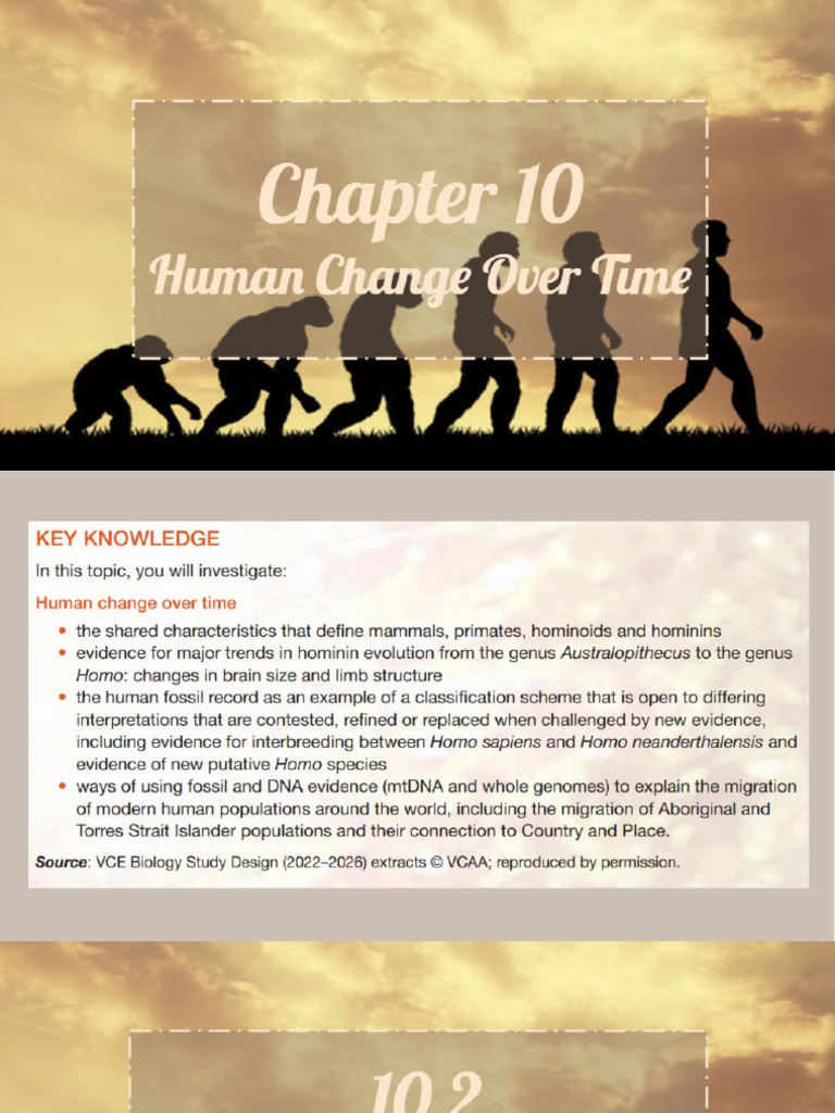 10.2 Human Evolution | PDF | Human Evolution | Hominini