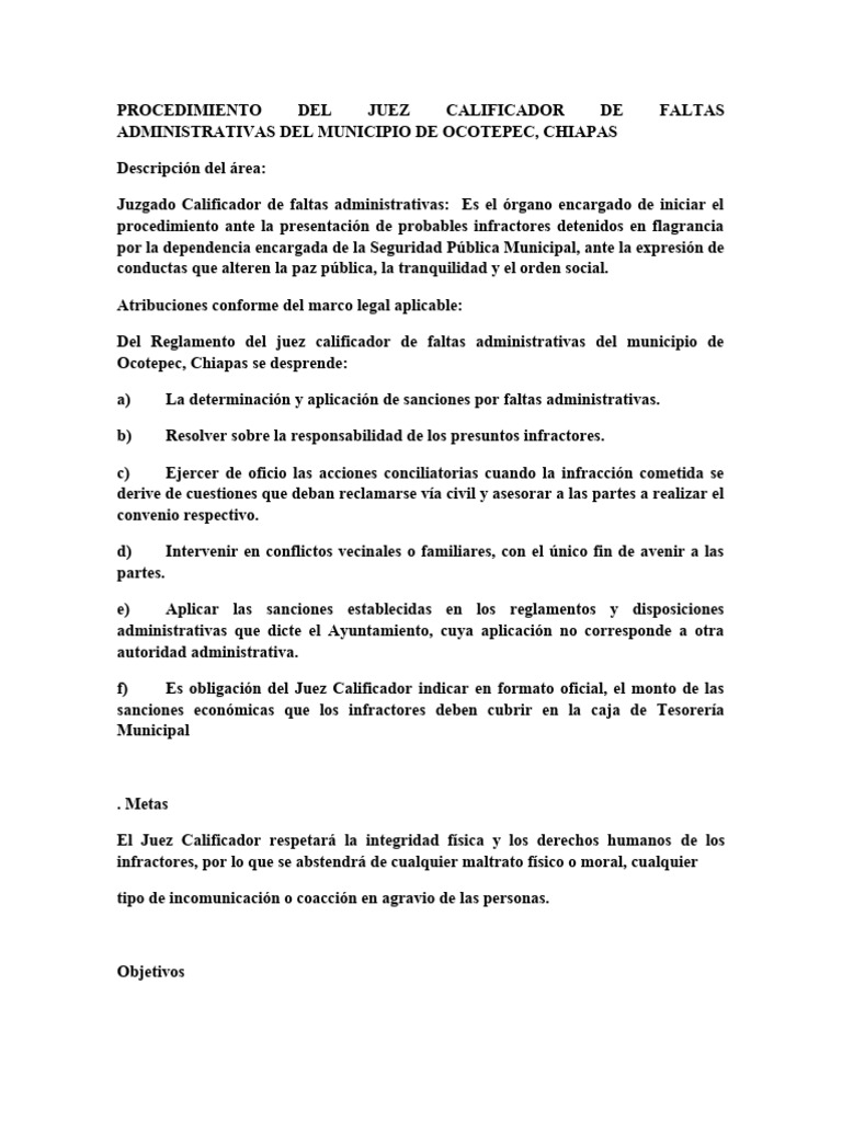 Formato para El Juez Calificador | PDF | Juez | Gobierno