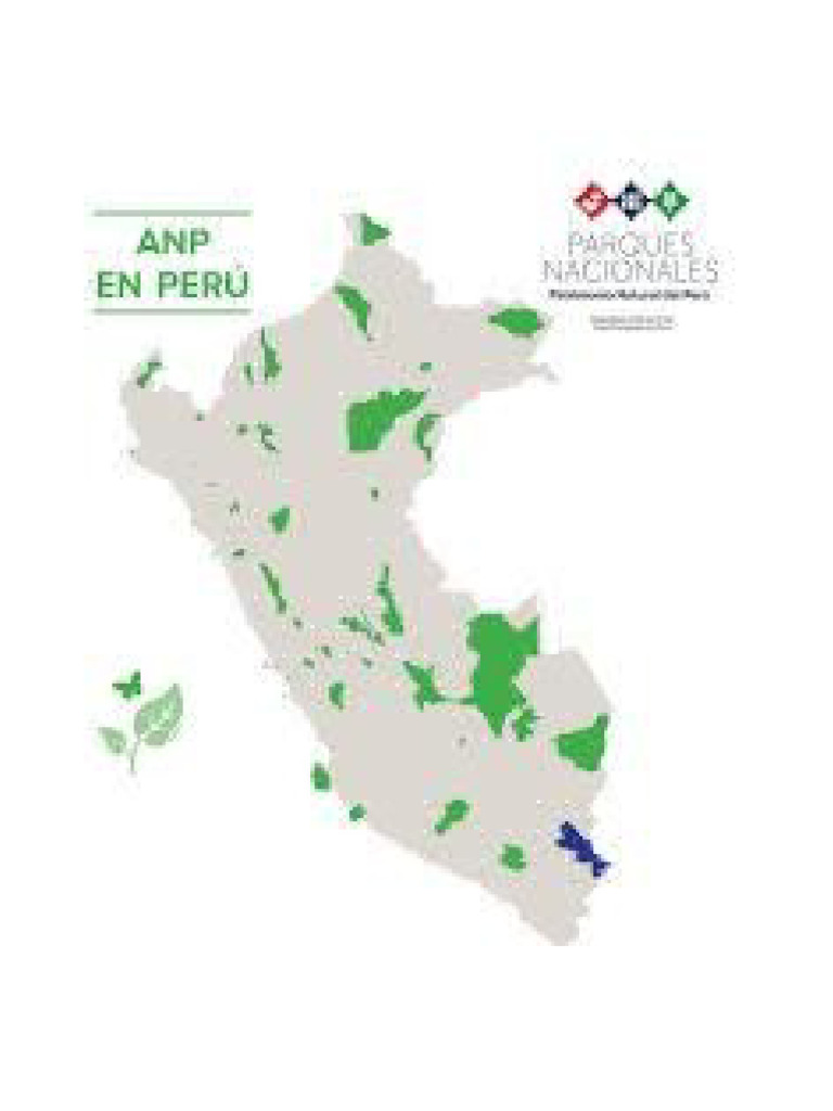 ANP en el Perú | PDF