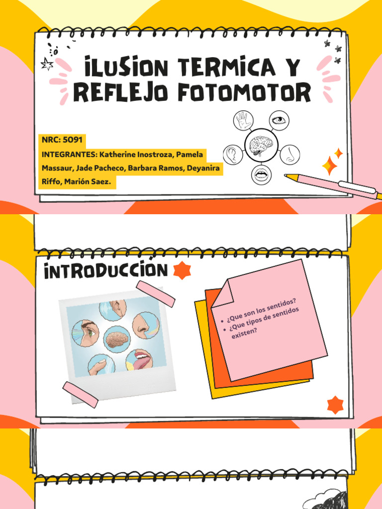 Reflejo Fotomotor y Termorecepción | PDF | Percepción visual | Ojo