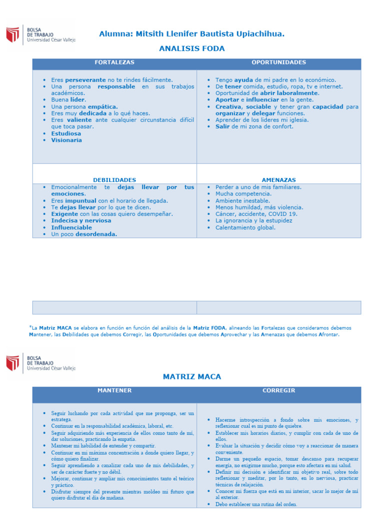 Matriz Foda - Maca (1) | PDF | Análisis FODA