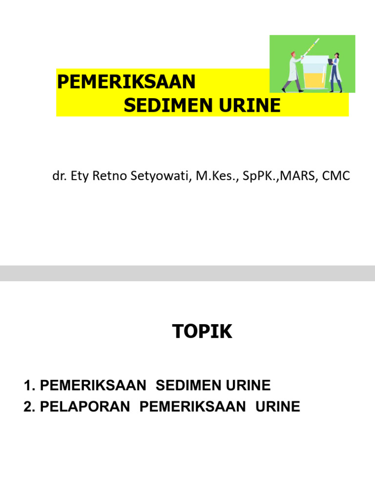 Pemeriksaan Sedimen Urine Lengkap | PDF