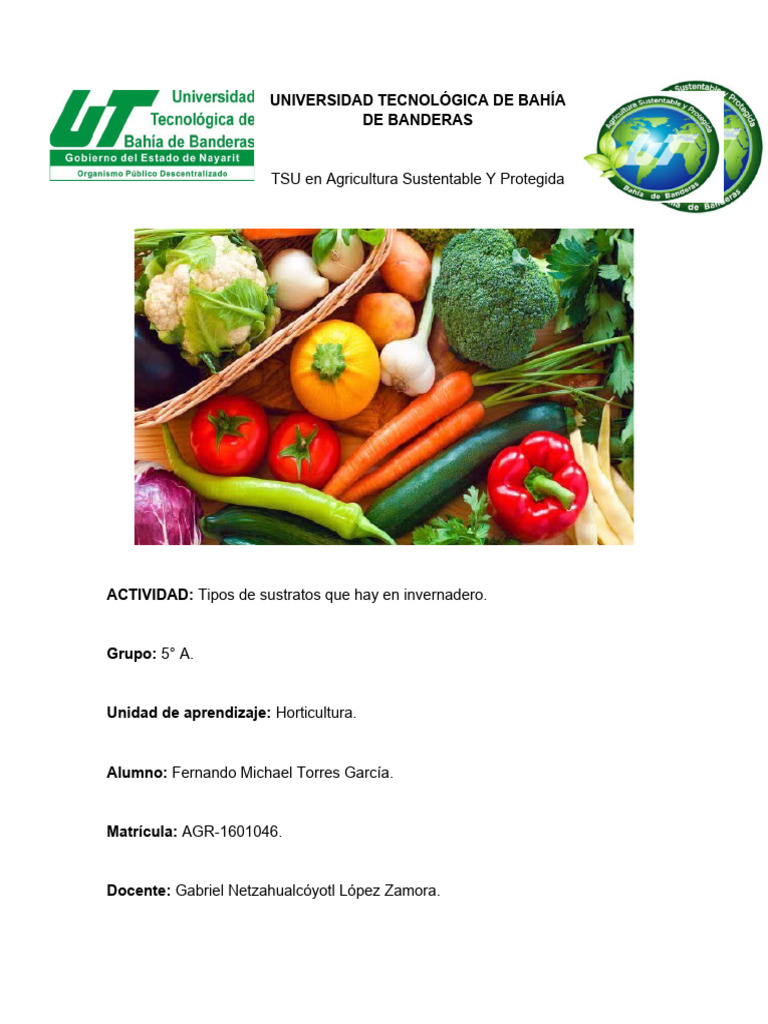 Tipos de Sustratos Que Hay en Invernadero | PDF | Compost | Roca ígnea