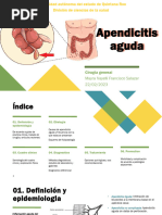 Fases de Apendicitis Resumen | PDF