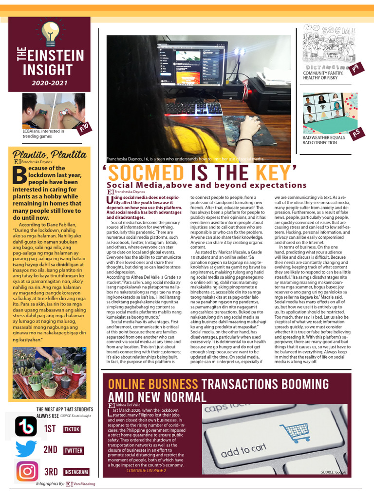 The Einstein Insight | PDF