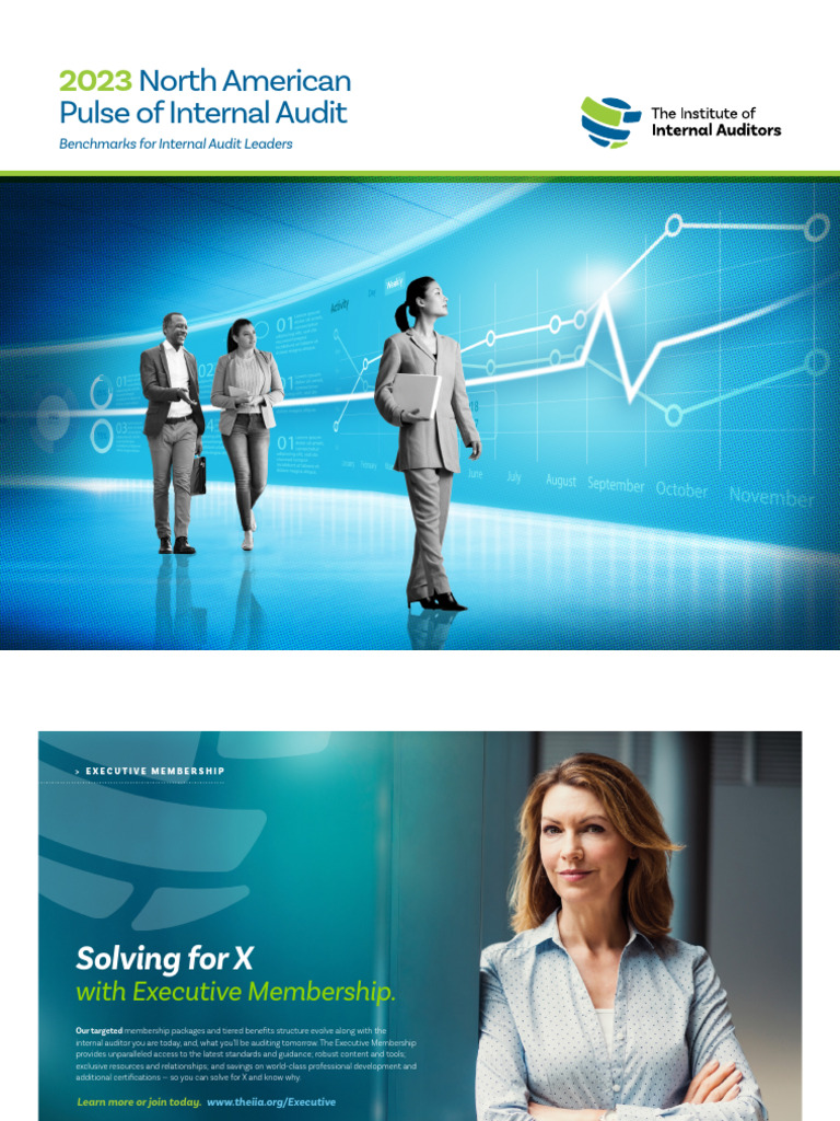 2023 Pulse of Internal Audit | PDF
