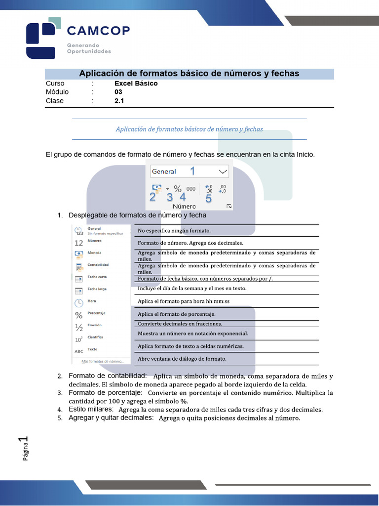 Formatos Básicos en Excel | PDF