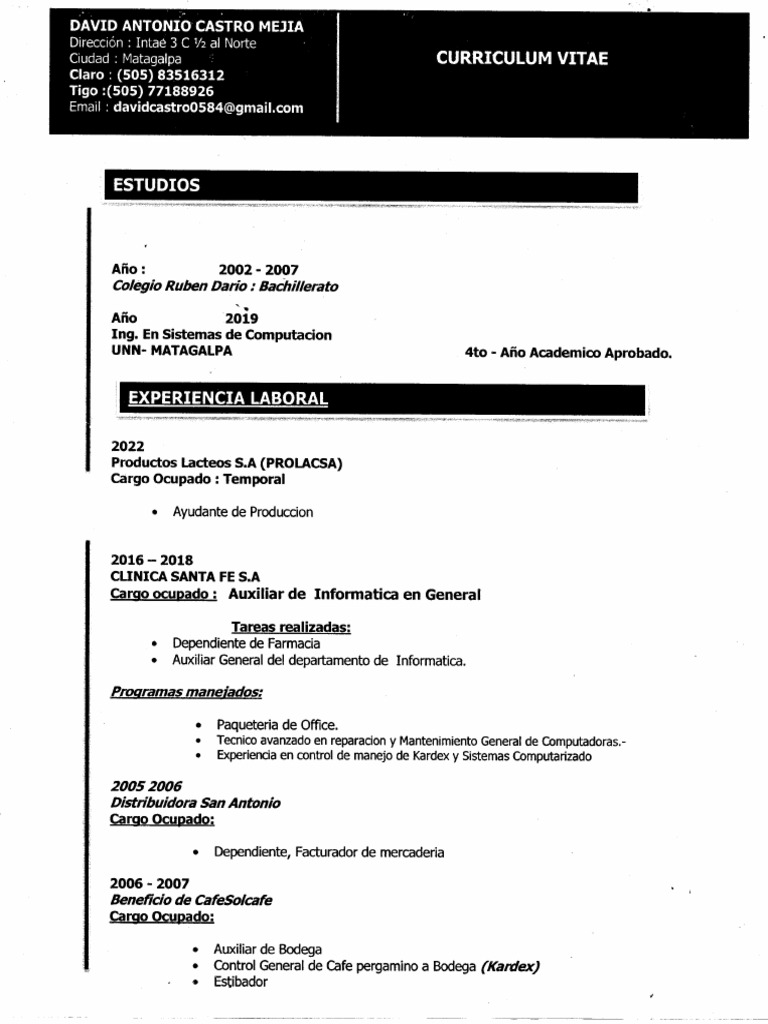 Curriculum David 202320230913 - 10535690 | PDF