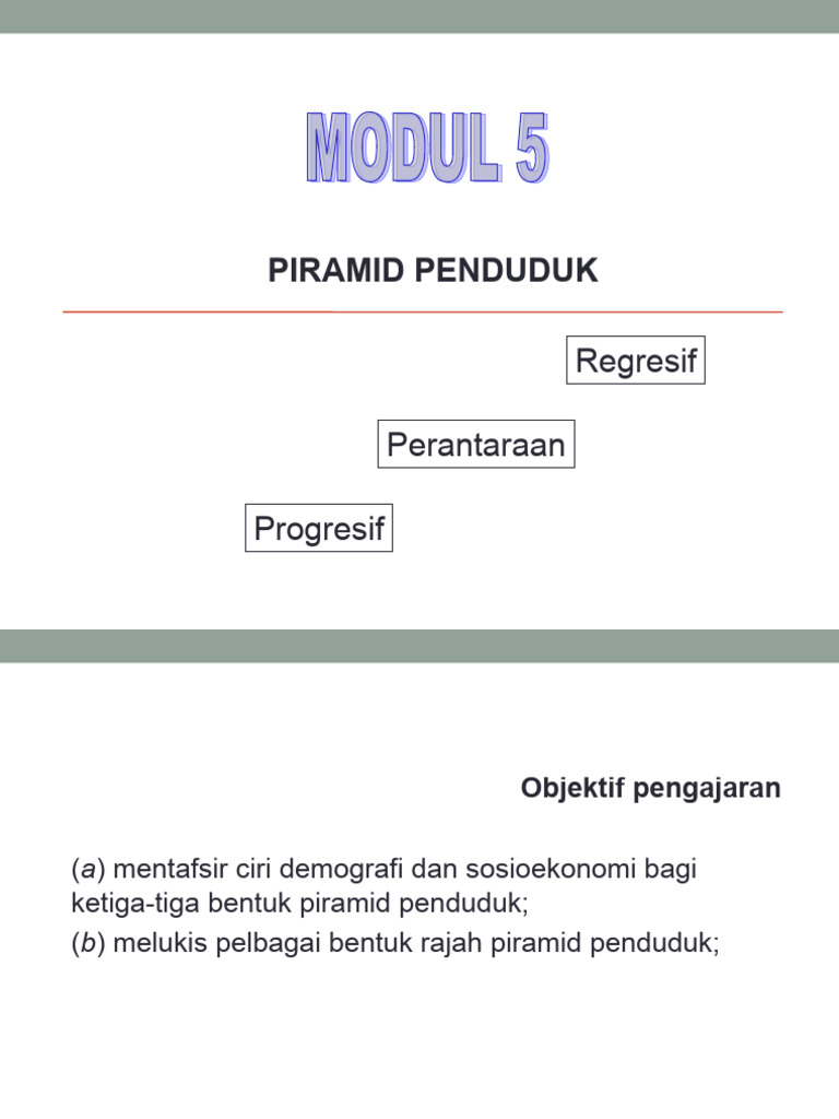 Piramid Penduduk | PDF