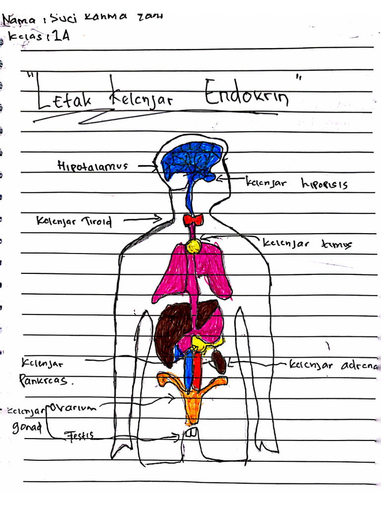 Tugas Suci Rahma Yani | PDF