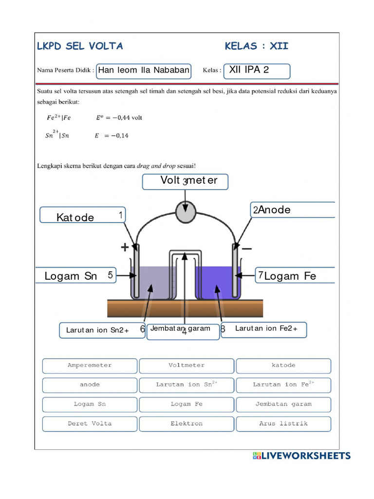 LKPD Sel Volta | PDF