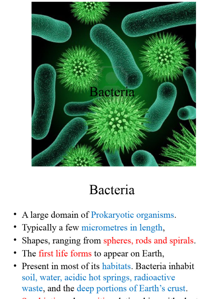 3 Bacteria | PDF | Bacteria | Microbiology