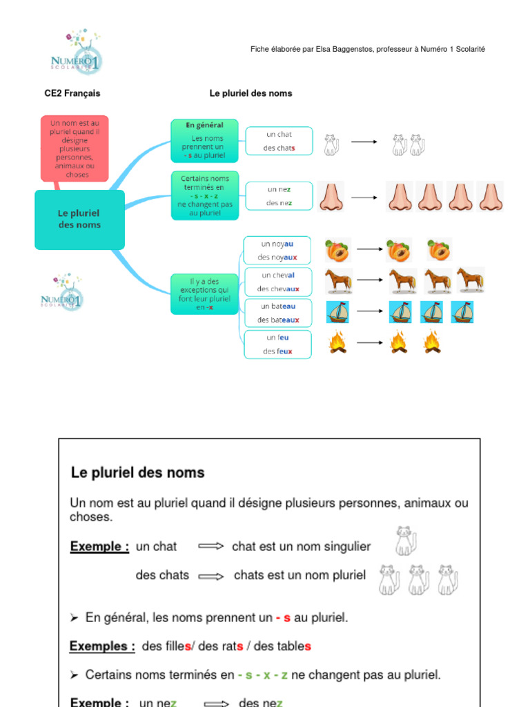 Pluriel des noms : leçons et exercices | PDF | Pluriel