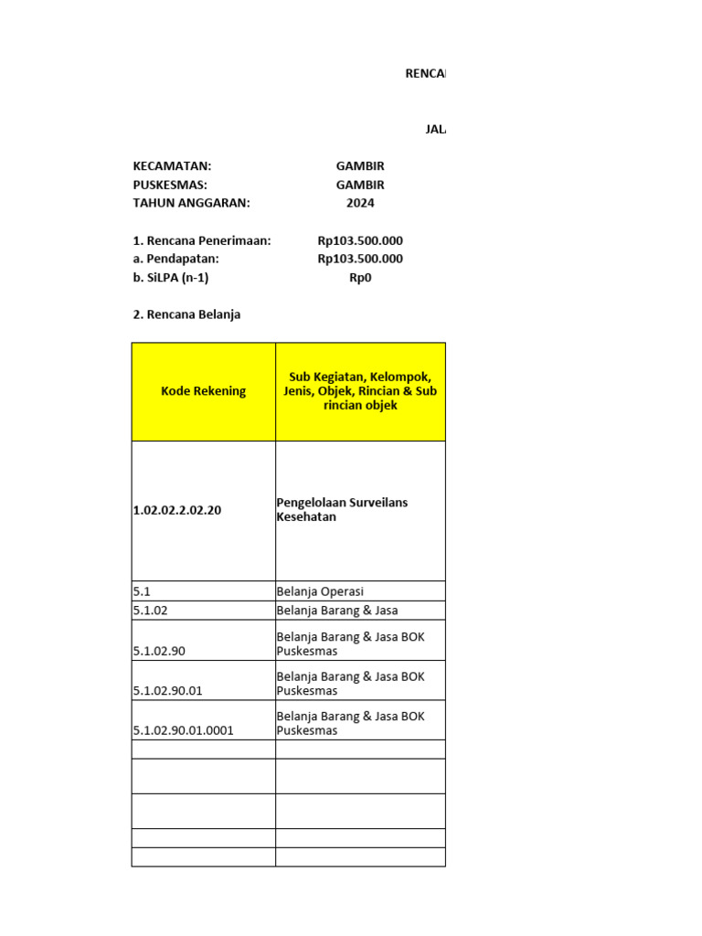 Contoh RKAP Randy | PDF | Finance & Money Management