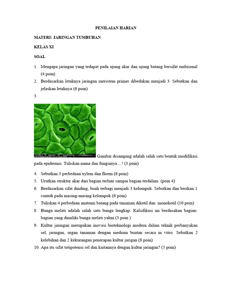 Penilaian Kelas Xi SKKK Green Garden | PDF | Griya & Taman