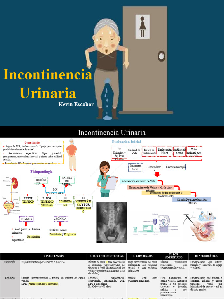 Incontinencia Urinaria | PDF