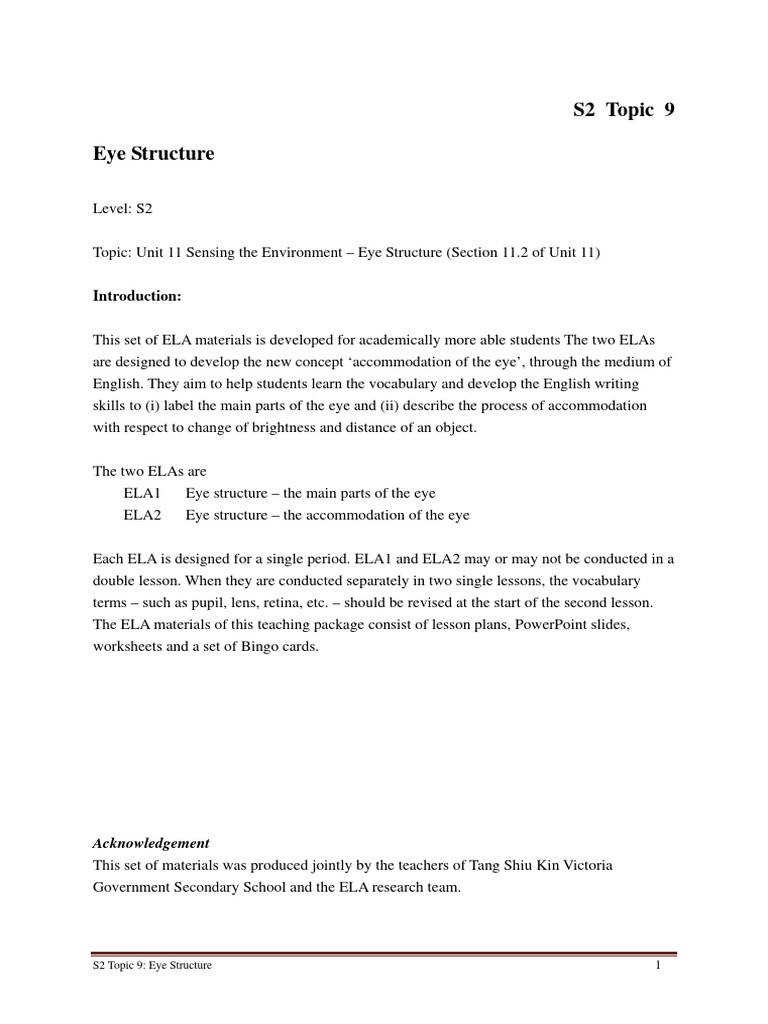 s2 Topic 9 Eye Structure | PDF | Eye | Cornea