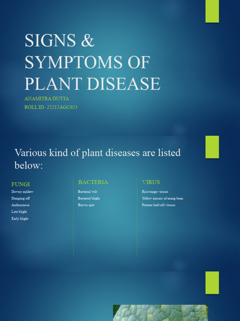 Signs & Symptoms of Plant Disease (Recovered) Original 1 | PDF