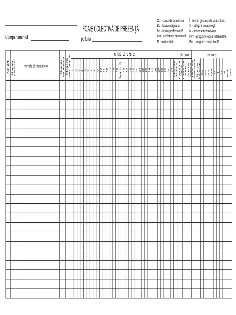 Model Fisa de Pontaj | PDF