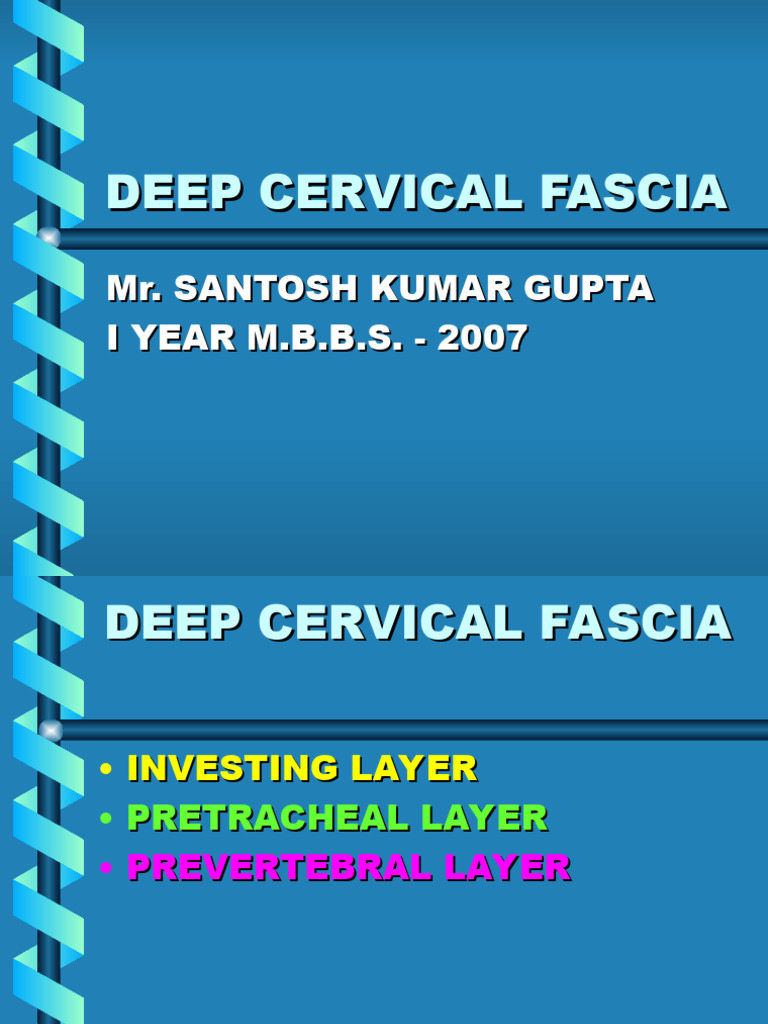 Deep Cervical Fascia | PDF
