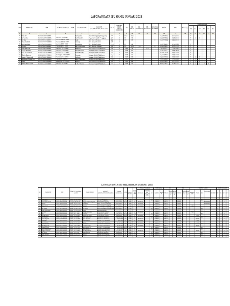 Form Bumil, Bulin, BBL Pakisbaru 2023 | PDF