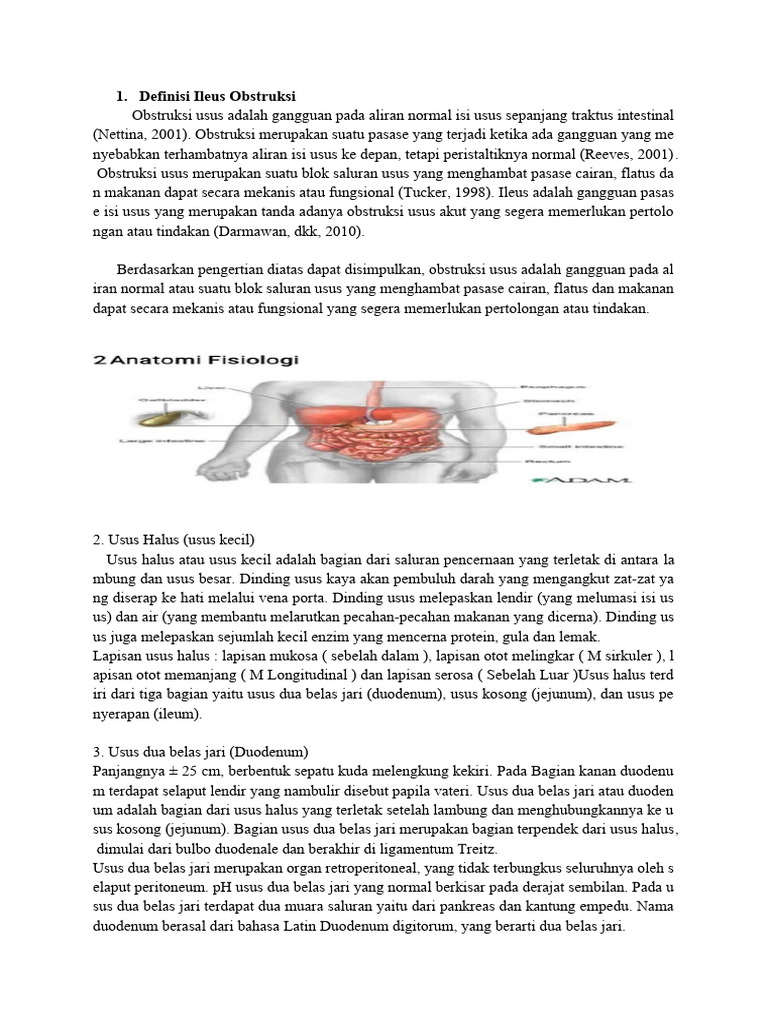 Ileus Obstruksi | PDF