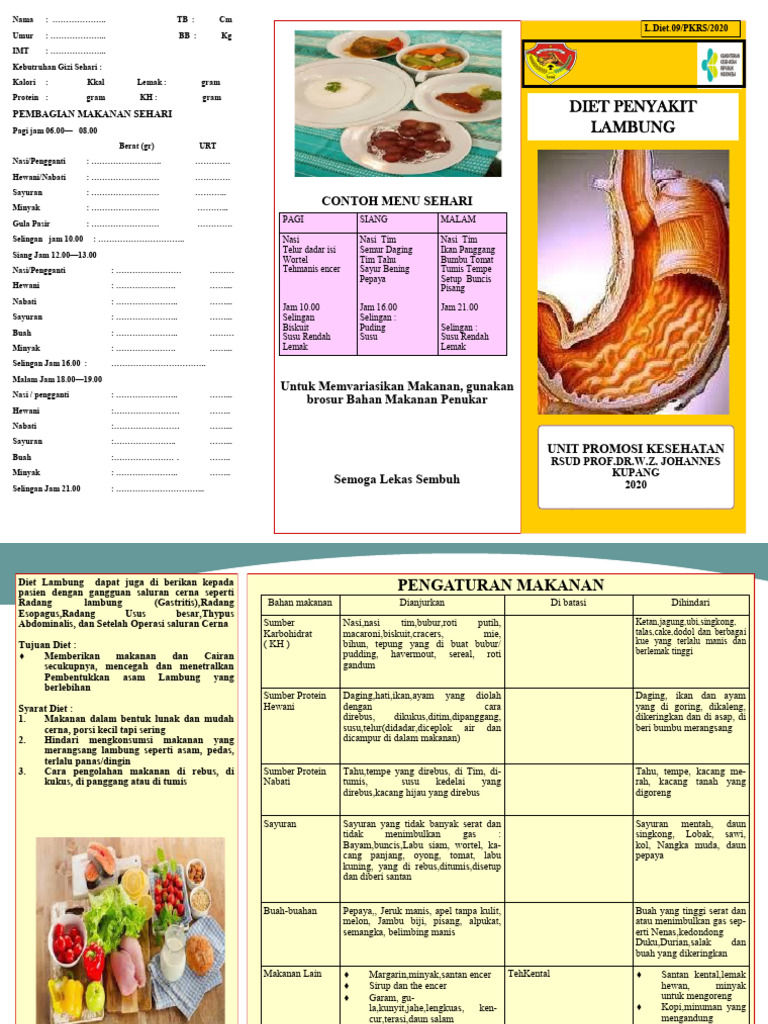 Menu Diet untuk Penyakit Lambung | PDF